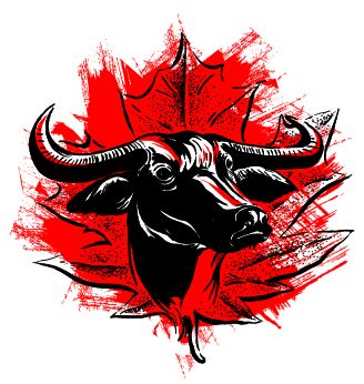 #YPP2020 Spotlight | Yaimel on Art and Cultural Influence | LEVEL